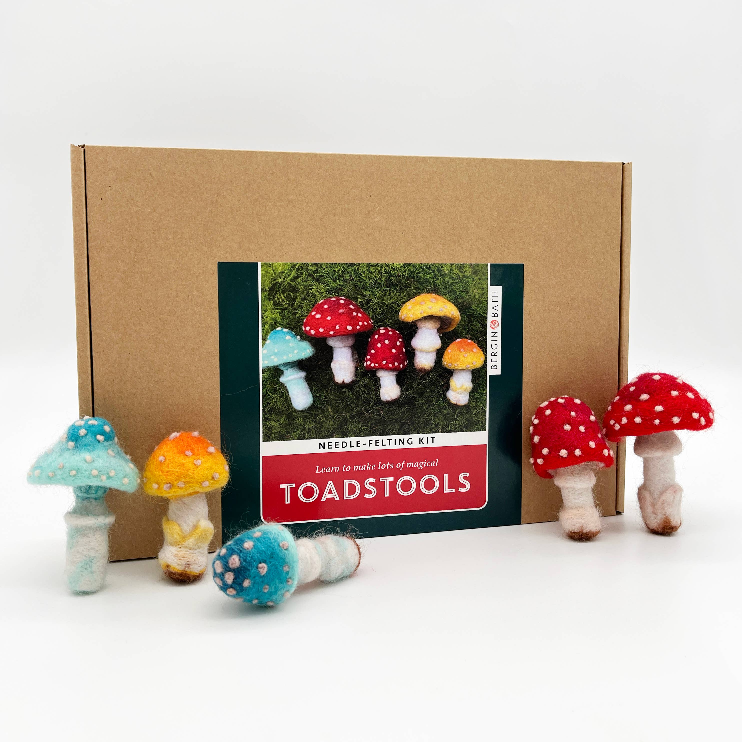 Needle Felting Kit, Toadstools – Weave & Wander Yarn Shop